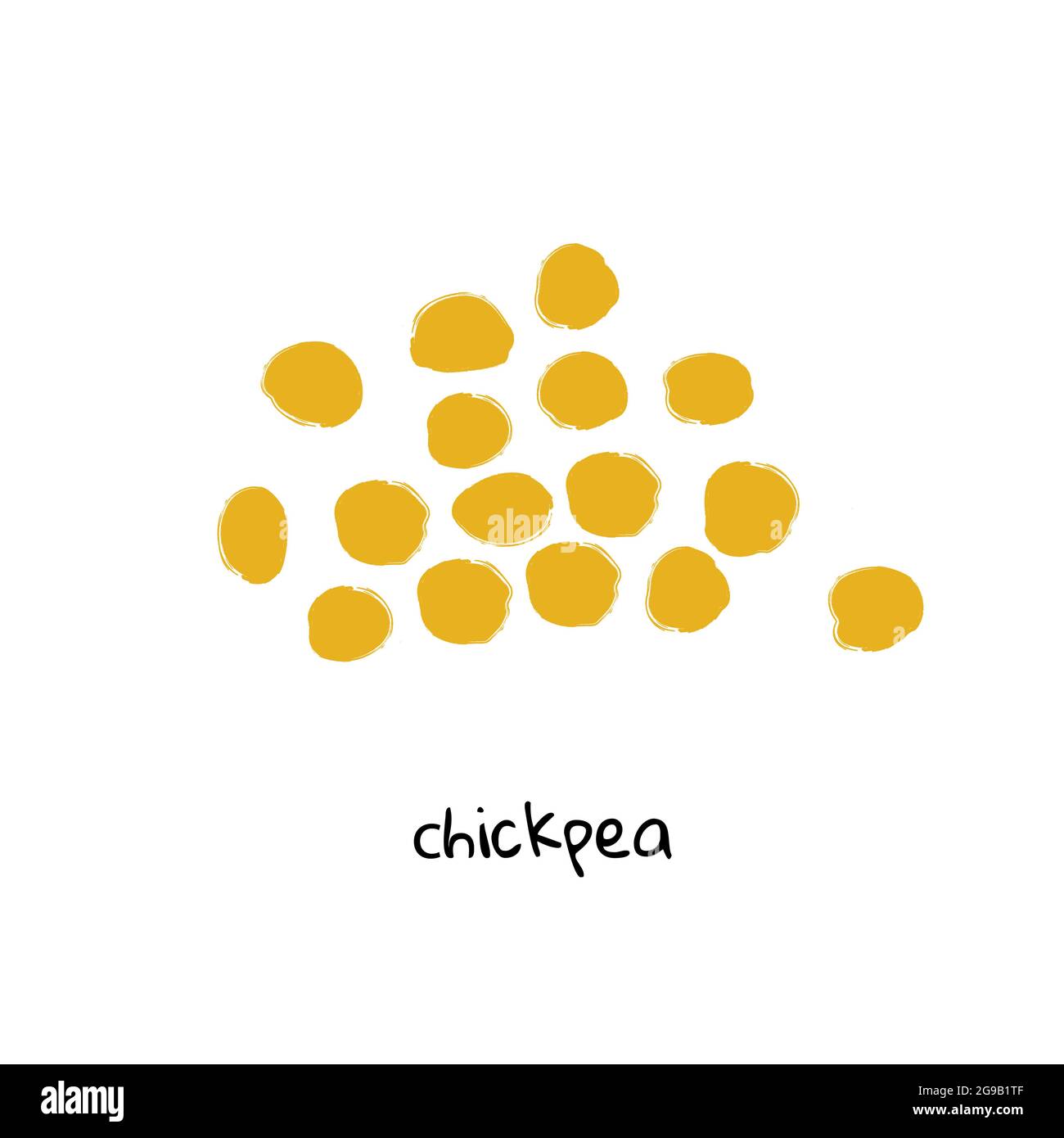 Chickpeas detail Stock Vector Images - Alamy