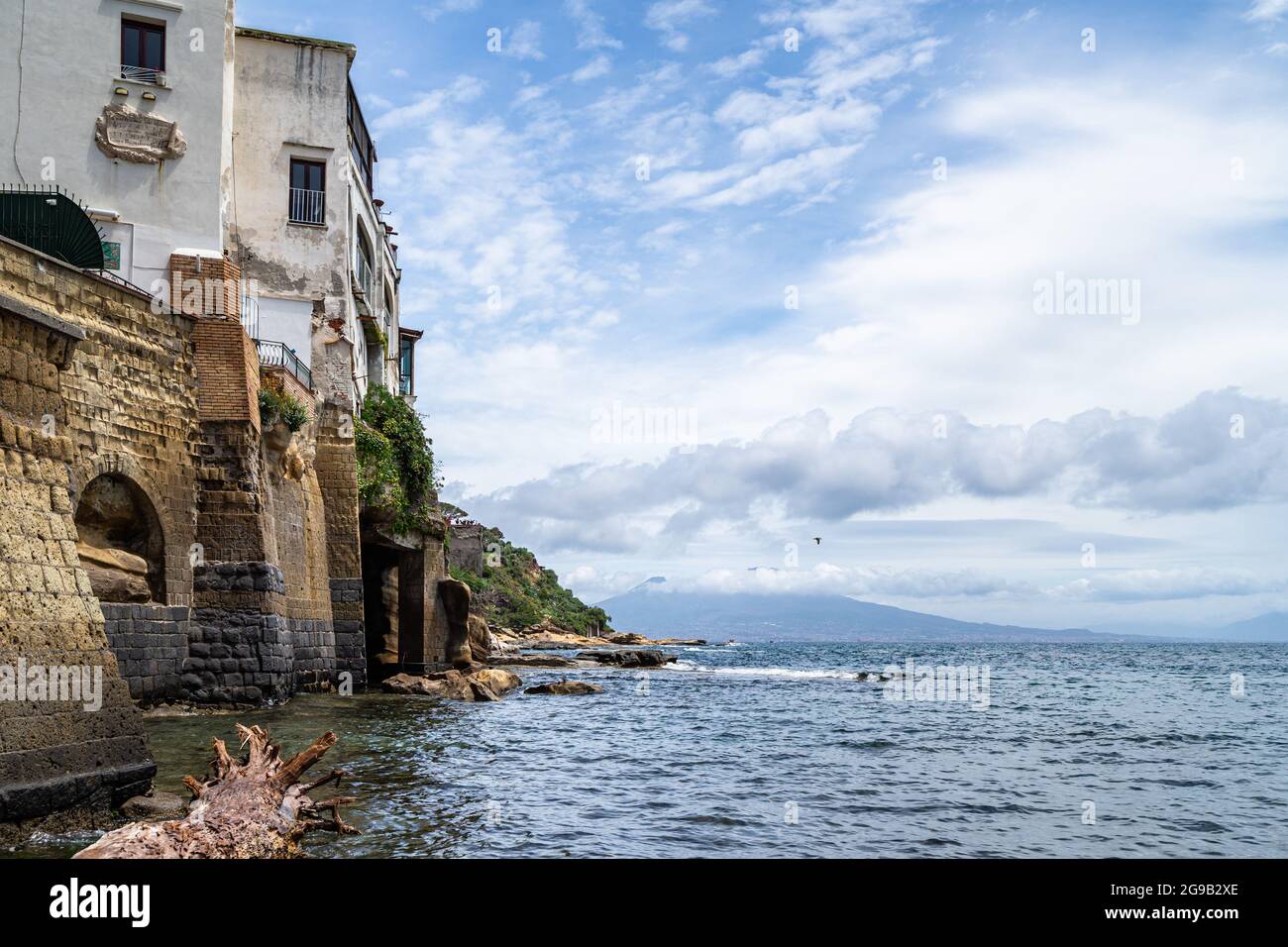 Fenestrella hi-res stock photography and images - Alamy