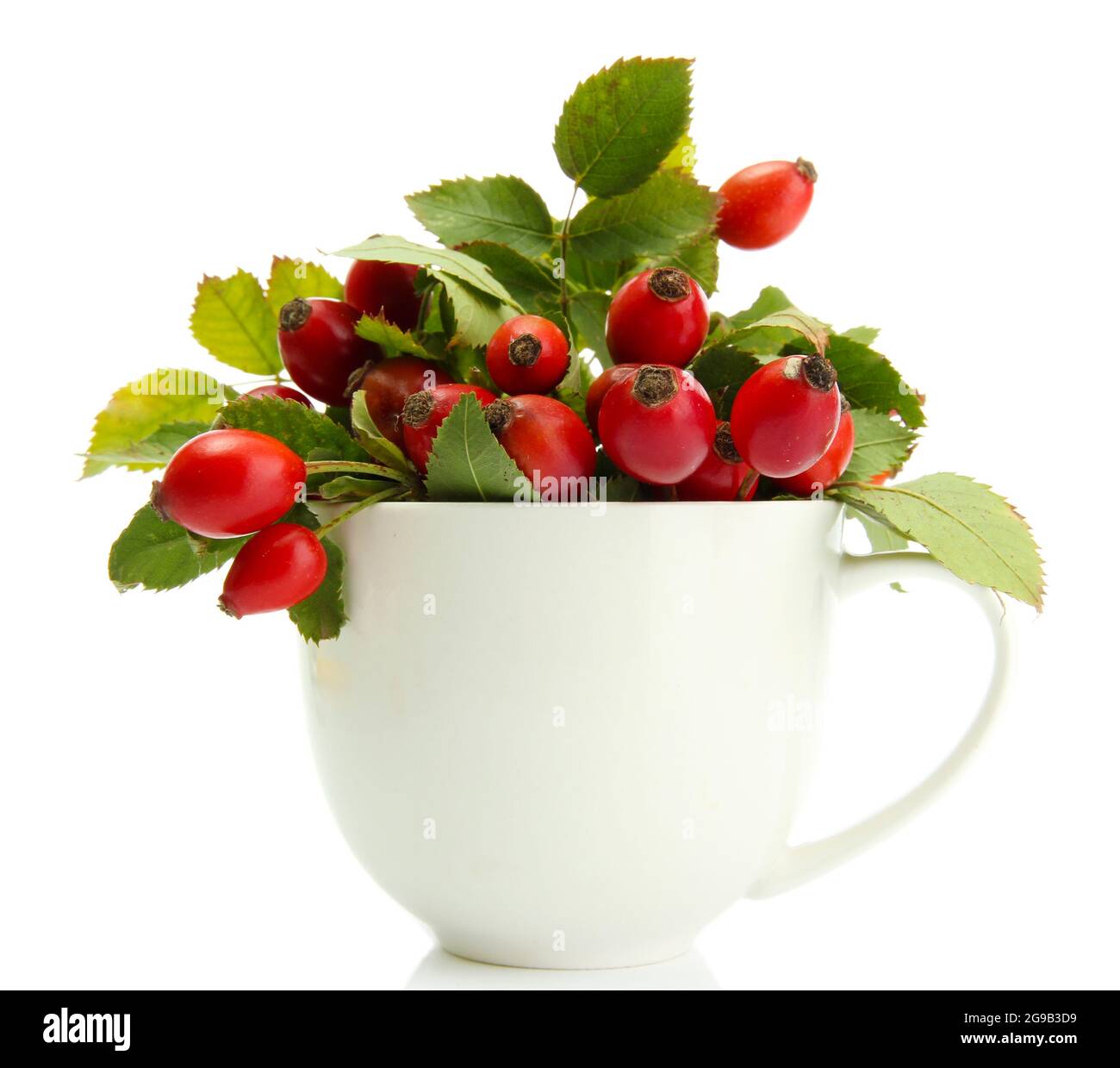 ripe hip roses with leaves in cup, isolated on white Stock Photo - Alamy