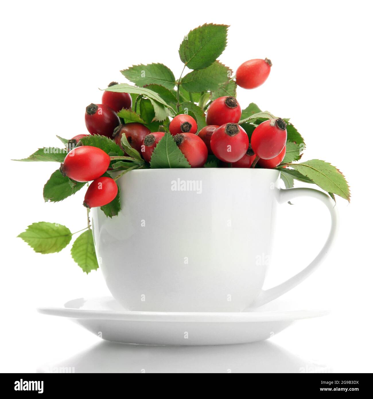 ripe hip roses with leaves in cup, isolated on white Stock Photo - Alamy