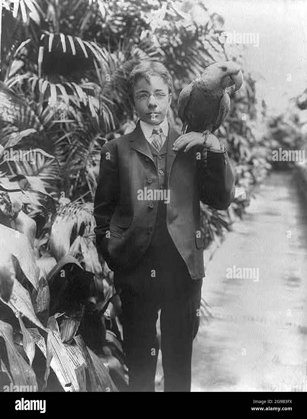Theodore Roosevelt, Jr., posed with a blue macaw.-1902 Stock Photo - Alamy