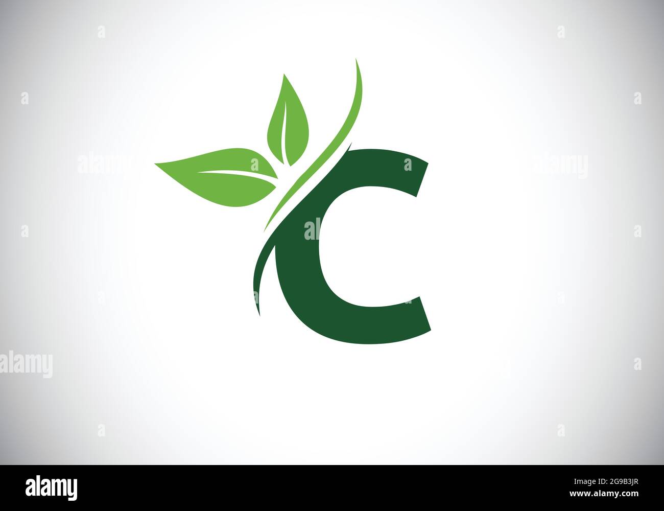 Initial C monogram alphabet with two leaves. Green, eco-friendly logo ...