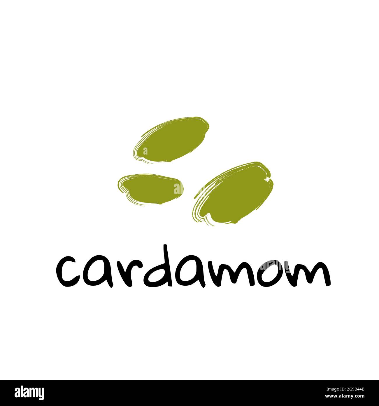 Cardamom illustration on white background Stock Vector Image & Art - Alamy