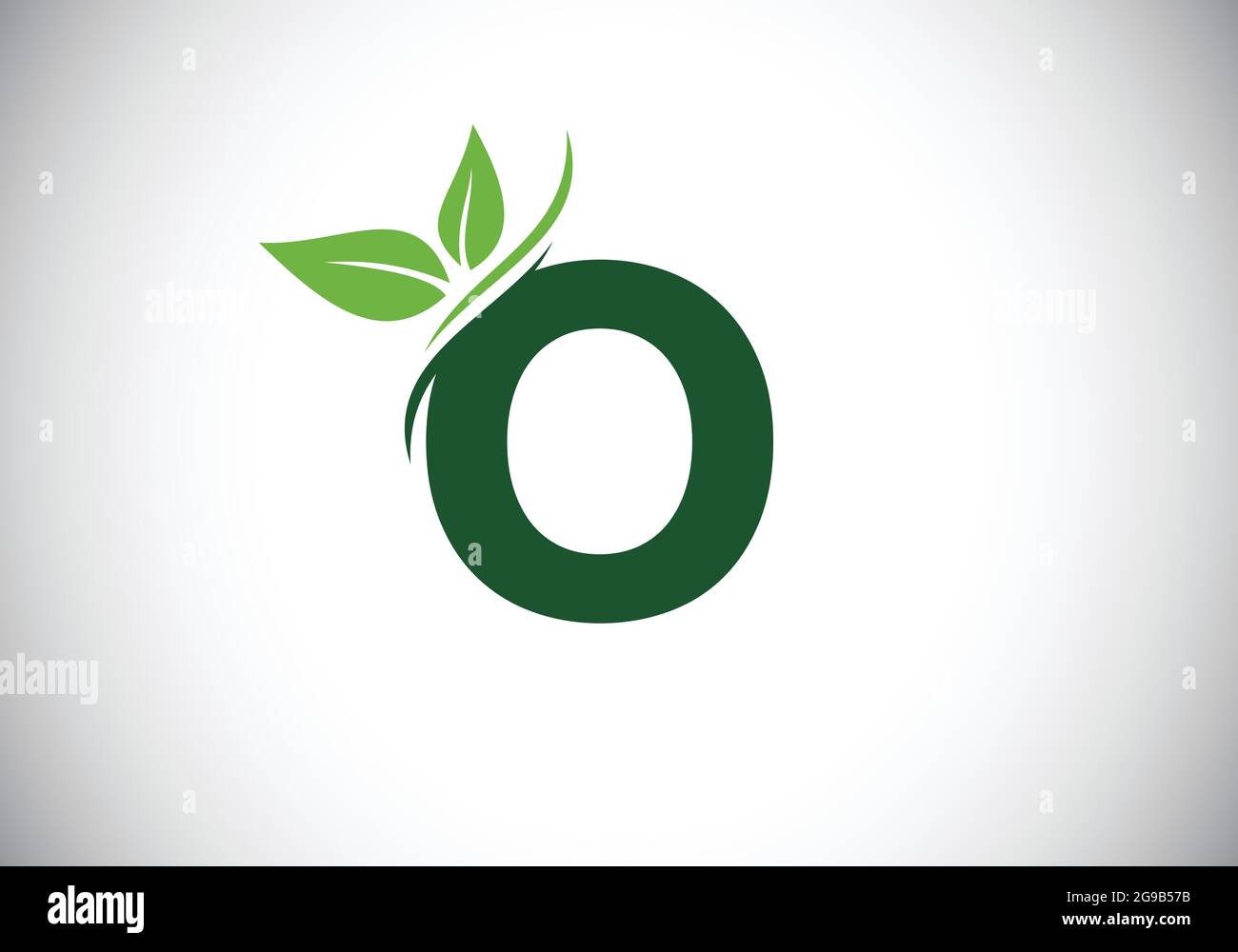 Initial O monogram alphabet with two leaves. Green, eco-friendly logo ...