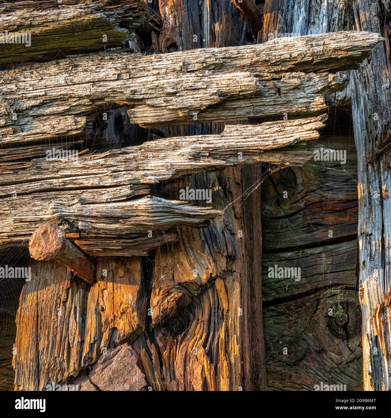 Decaying timber closeup hi-res stock photography and images - Alamy