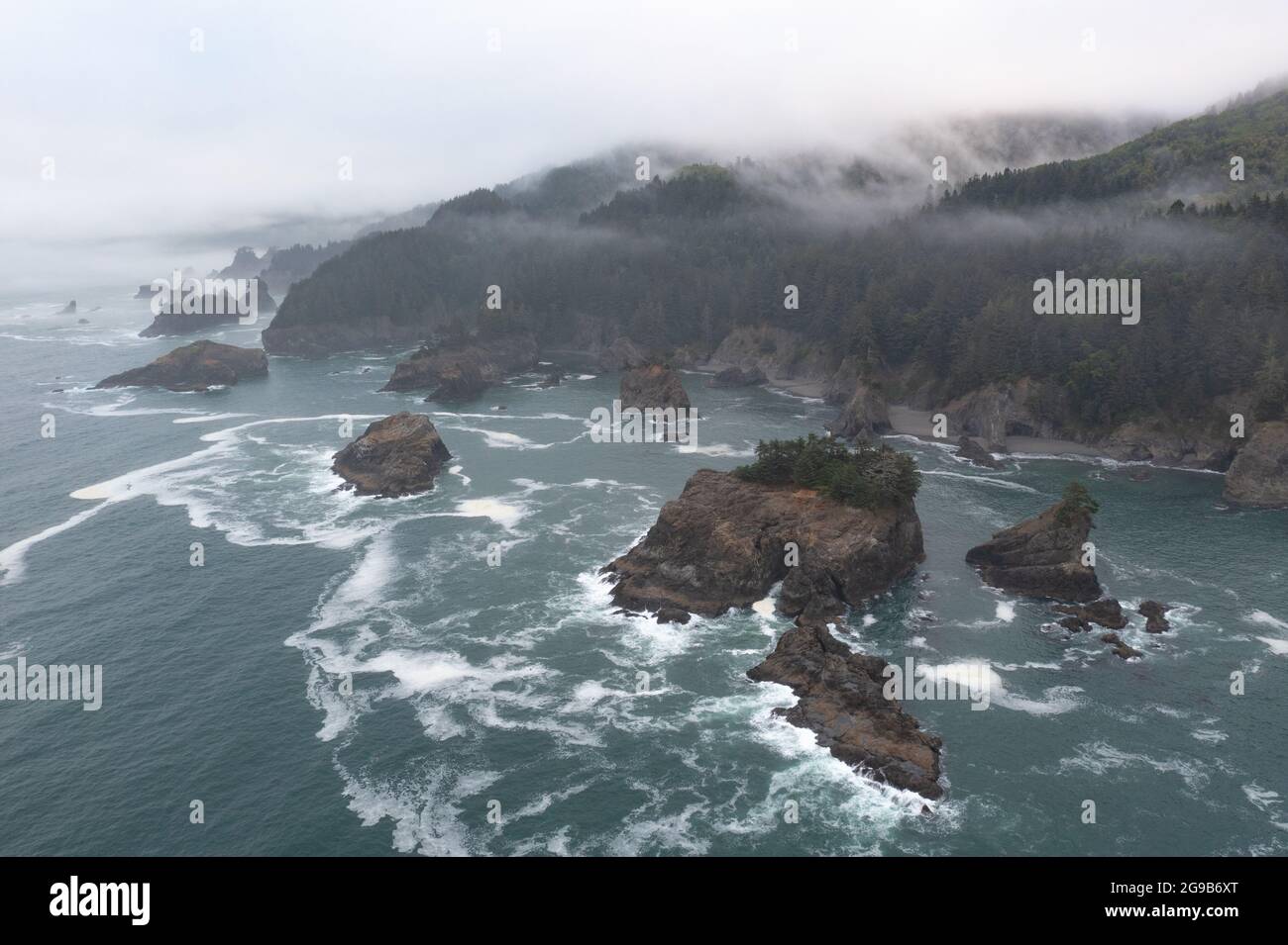 Forest meets the Pacific Ocean along the scenic coastline of southern ...