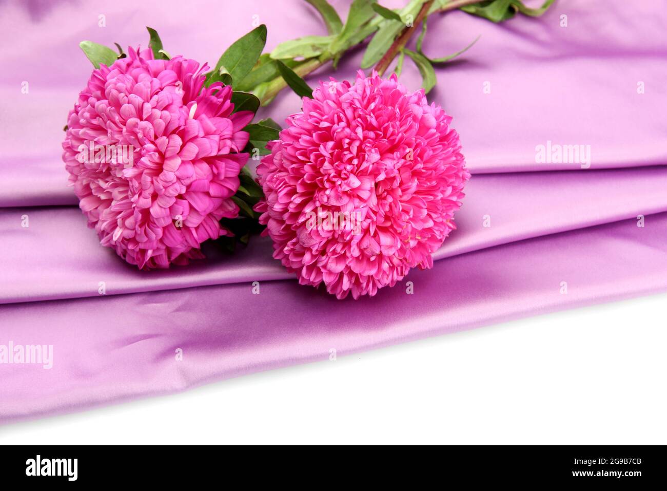 beautiful aster flowers, on silk background Stock Photo - Alamy