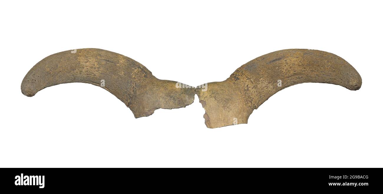 Tur Cut Out Stock Images & Pictures - Alamy