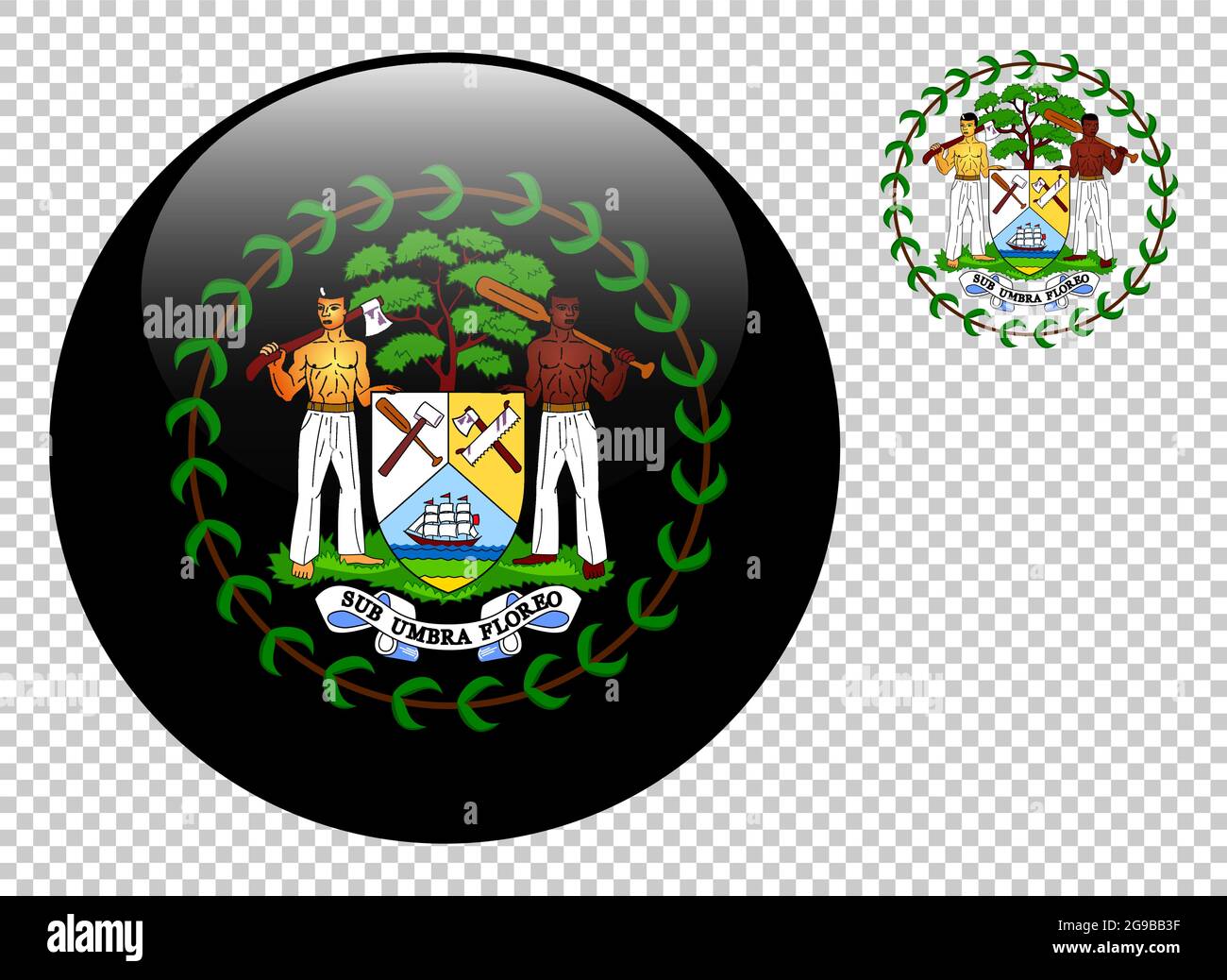 Coat of arms vector illustration on a transparent background Stock ...