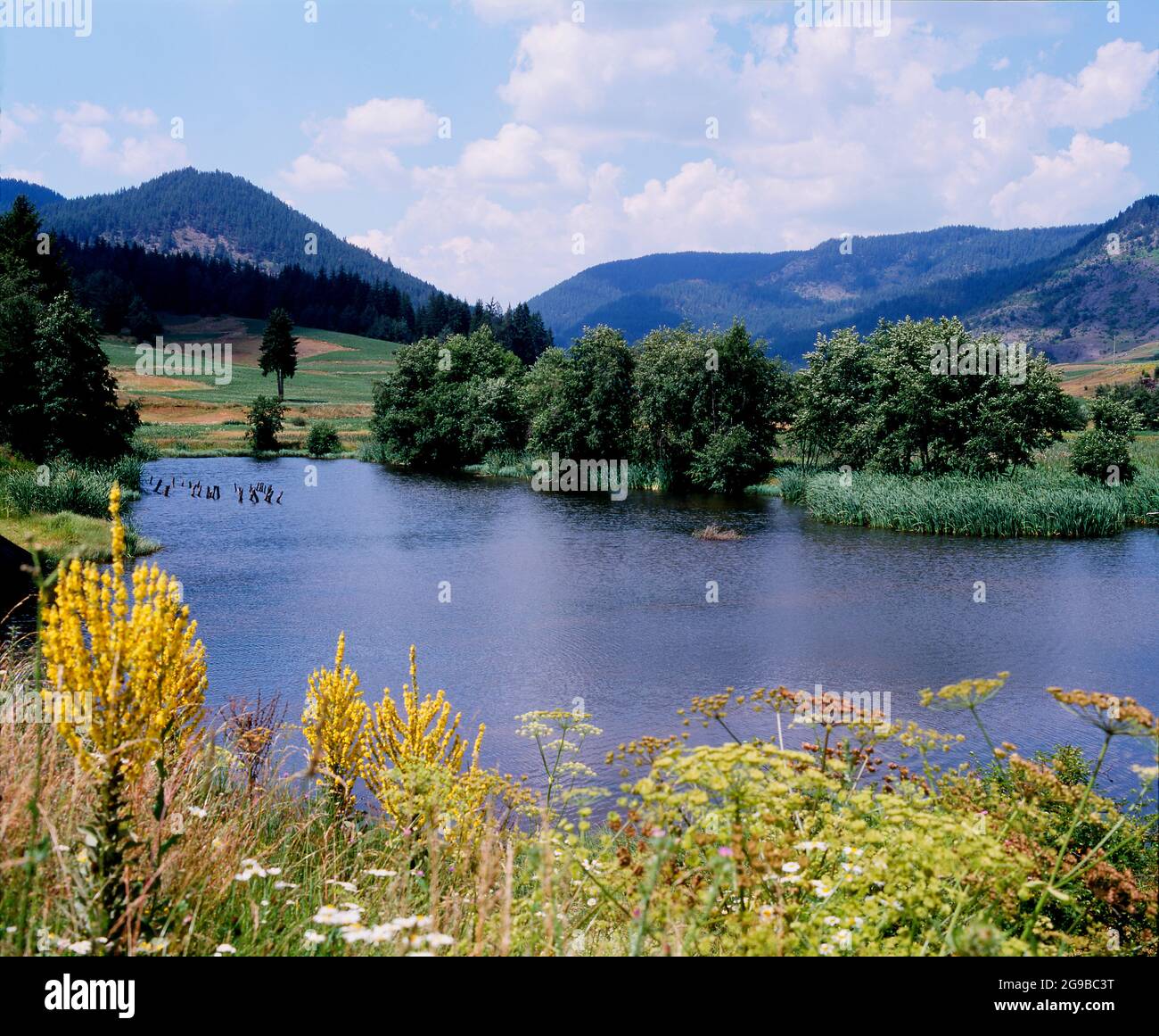 Surroundings of Dospat dam, Rhodopi mountains, Balkans, Bulgaria Stock ...