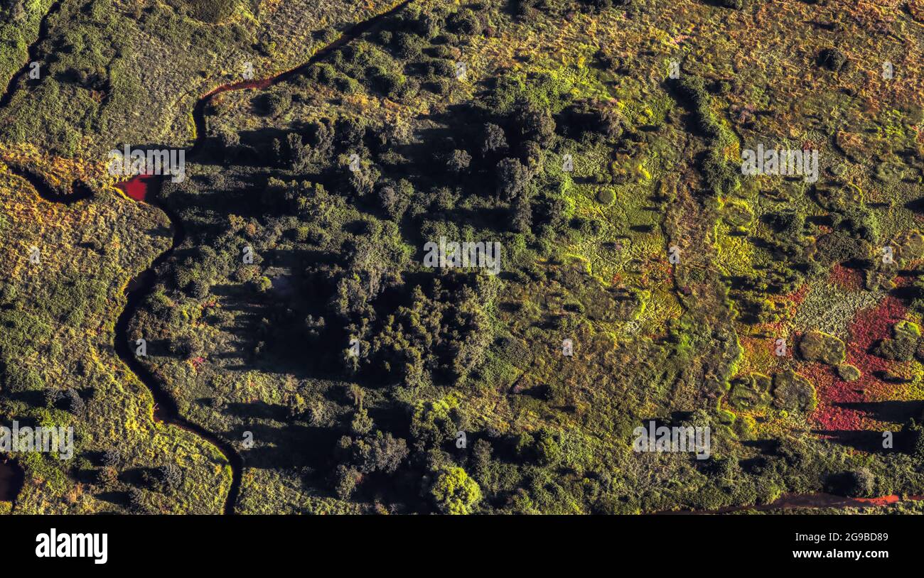 Aerial View of the Green Bog and Wetland Fields in a park Stock Photo ...