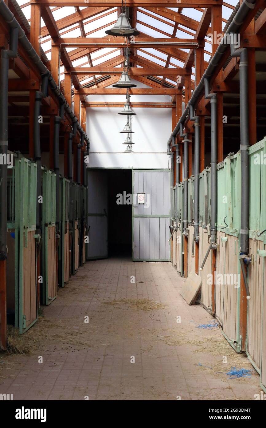 Inside modern clear stable or barn with horse boxes. Passageway view in ...
