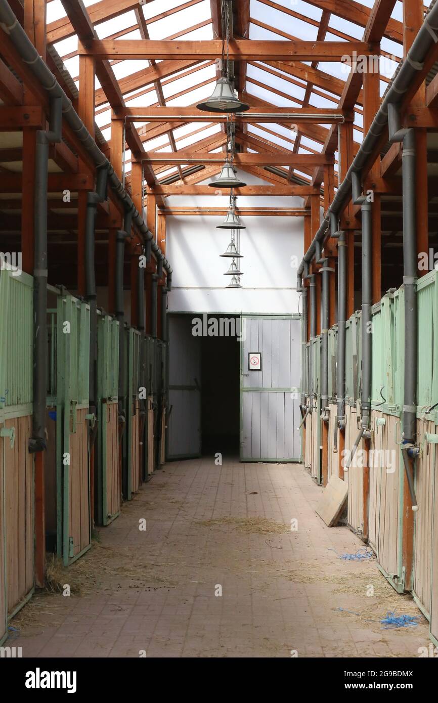 Modern stable with boxes hi-res stock photography and images - Alamy