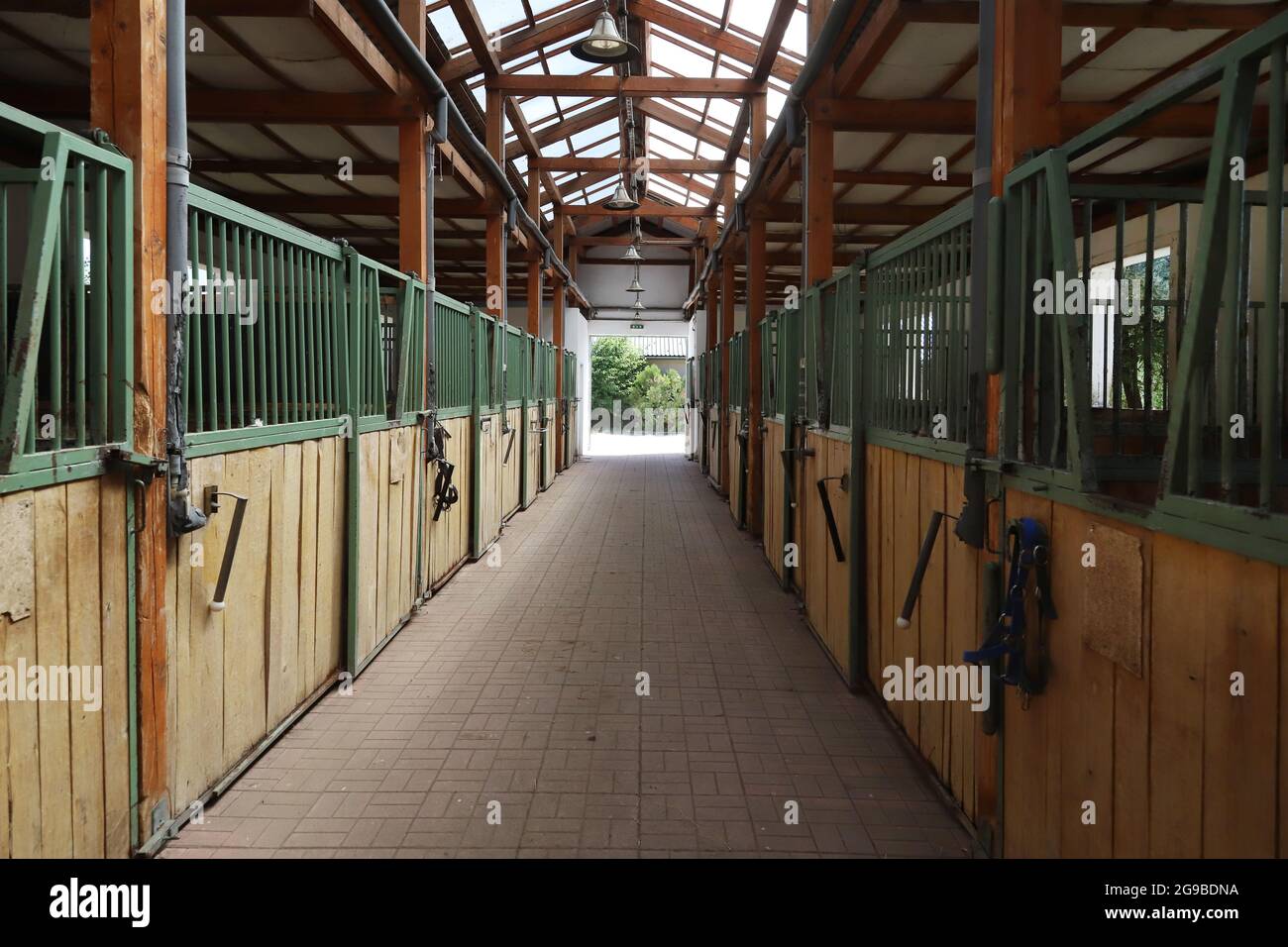 Inside modern clear stable or barn with horse boxes. Passageway view in ...