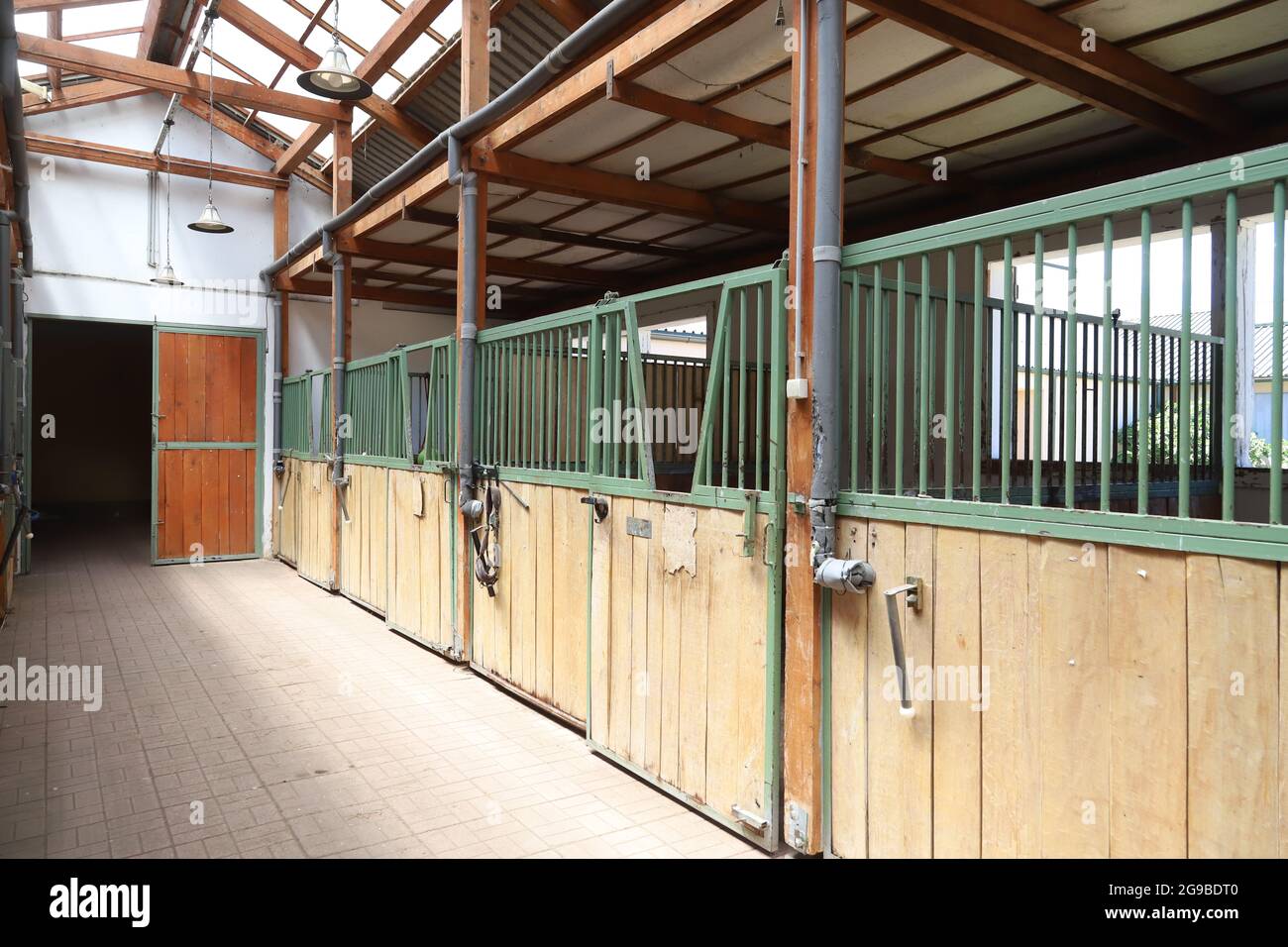 Inside modern clear stable or barn with horse boxes. Passageway view in ...