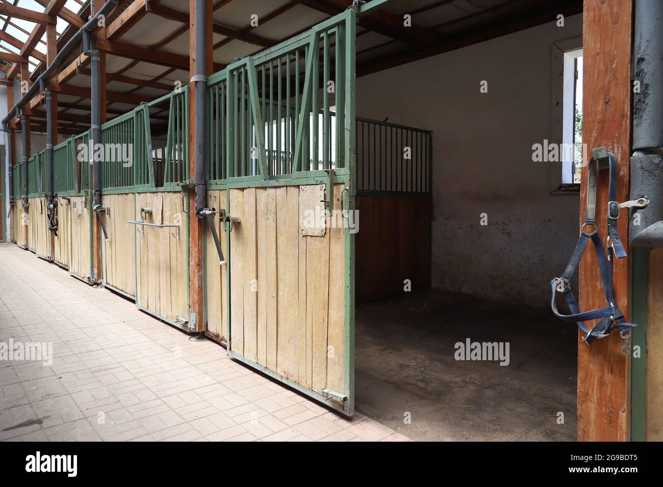 Inside modern clear stable hi-res stock photography and images - Alamy