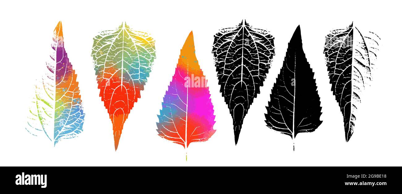 Multi-colored leaves of the tree. Rainbow world. Mixed media. Vector ...