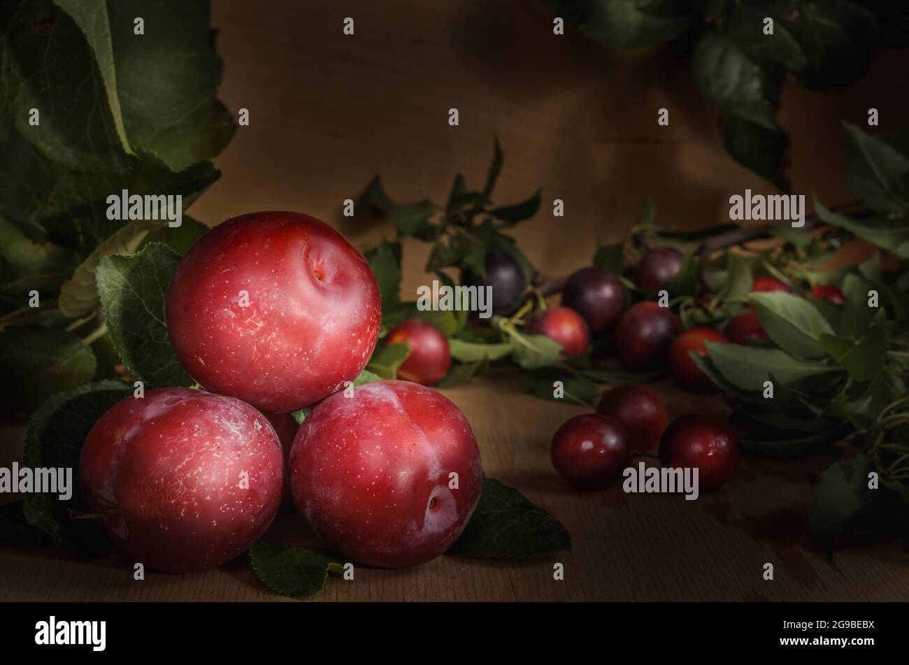 Culture plum hi-res stock photography and images - Alamy