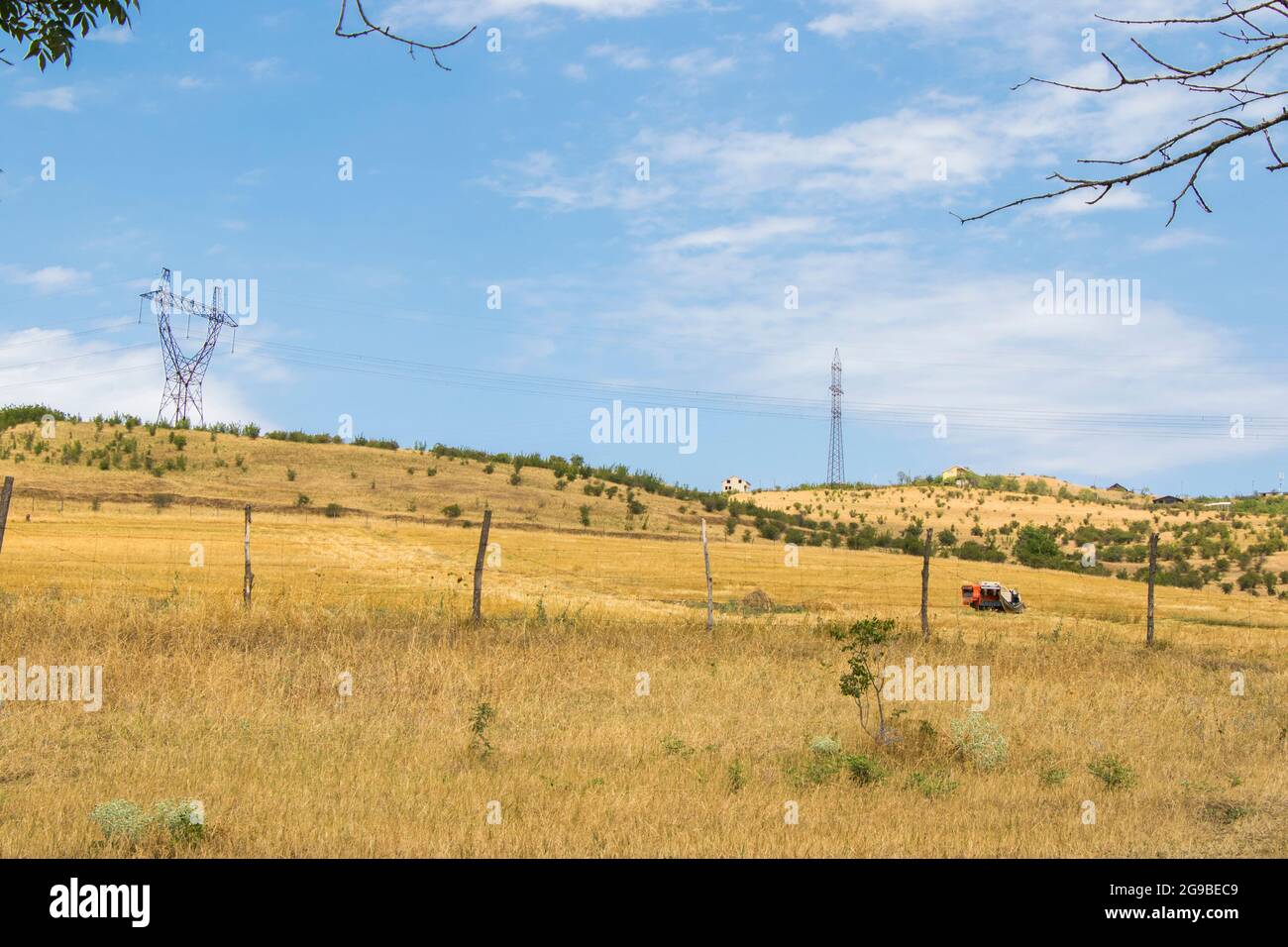 Landscape and view of courtyard, garden in Village of Georgia Stock ...