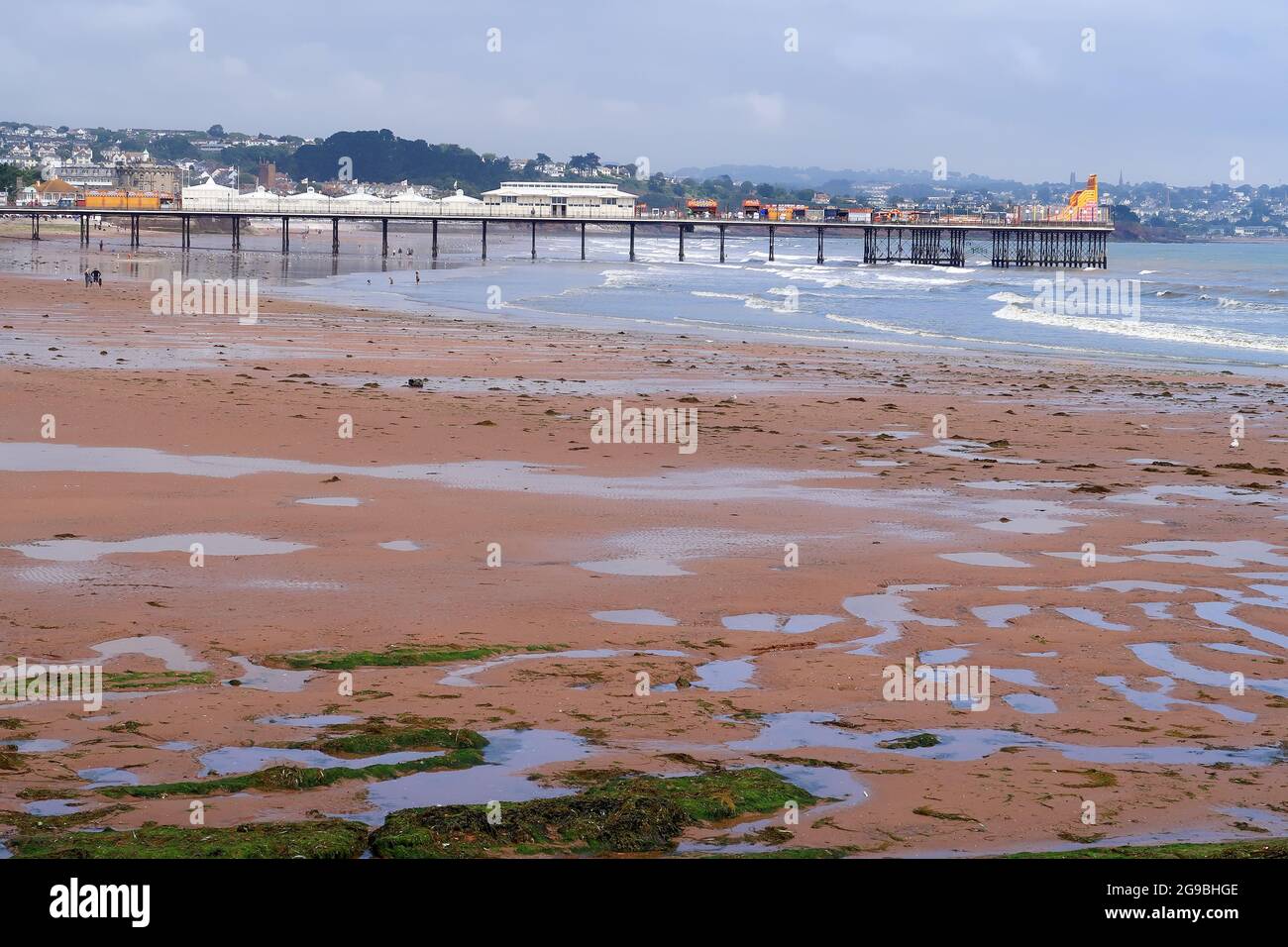 Seaweed and sandy beach along to Paignton Pier Stock Photo - Alamy