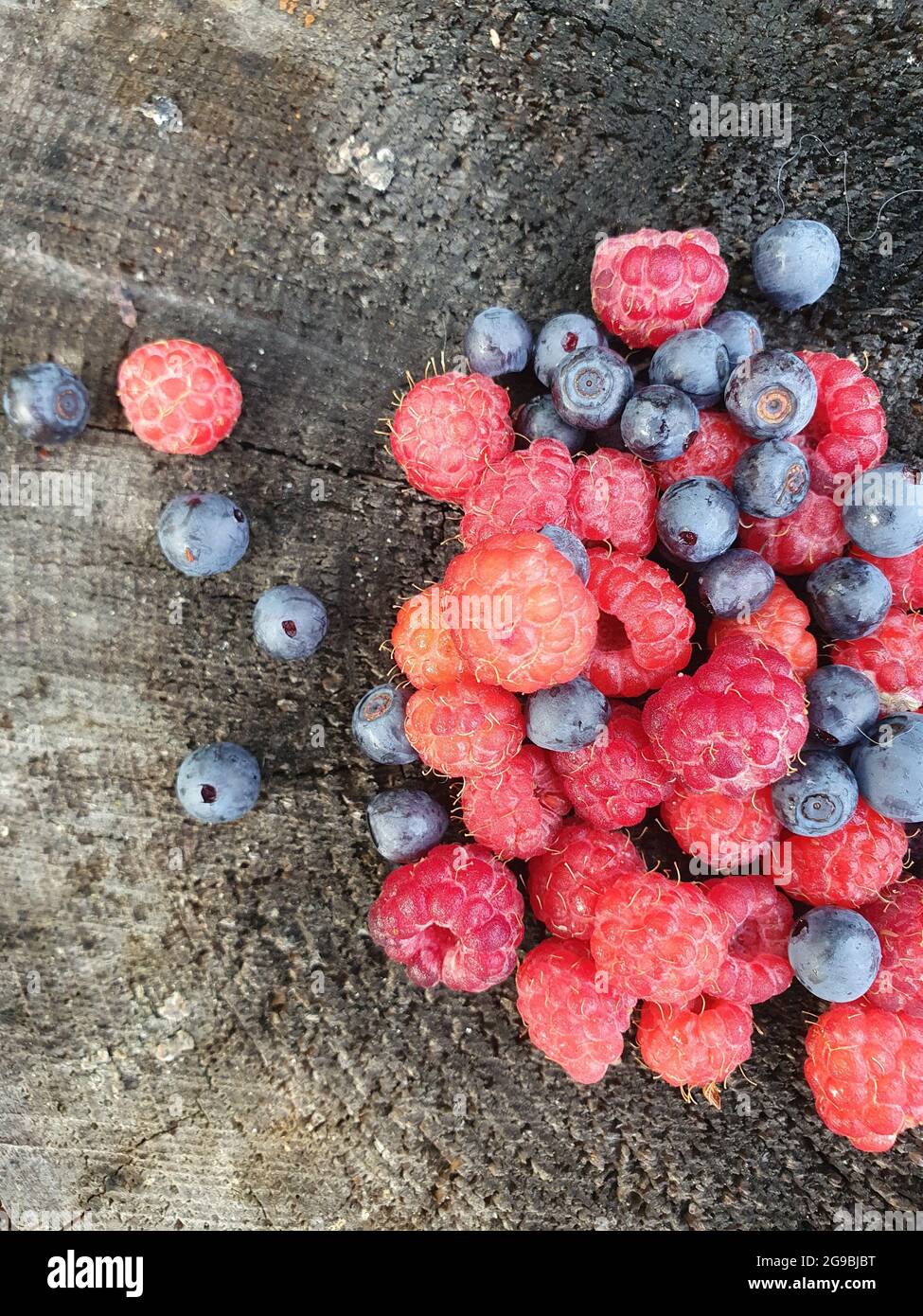 Berries of raspberries and blueberries on a tree stump in the forest ...