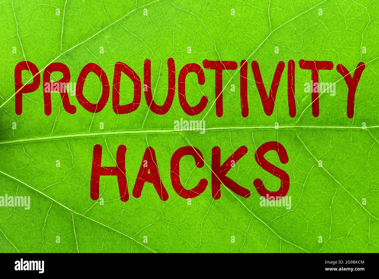 Writing displaying text Productivity Hacks. Internet Concept tricks ...