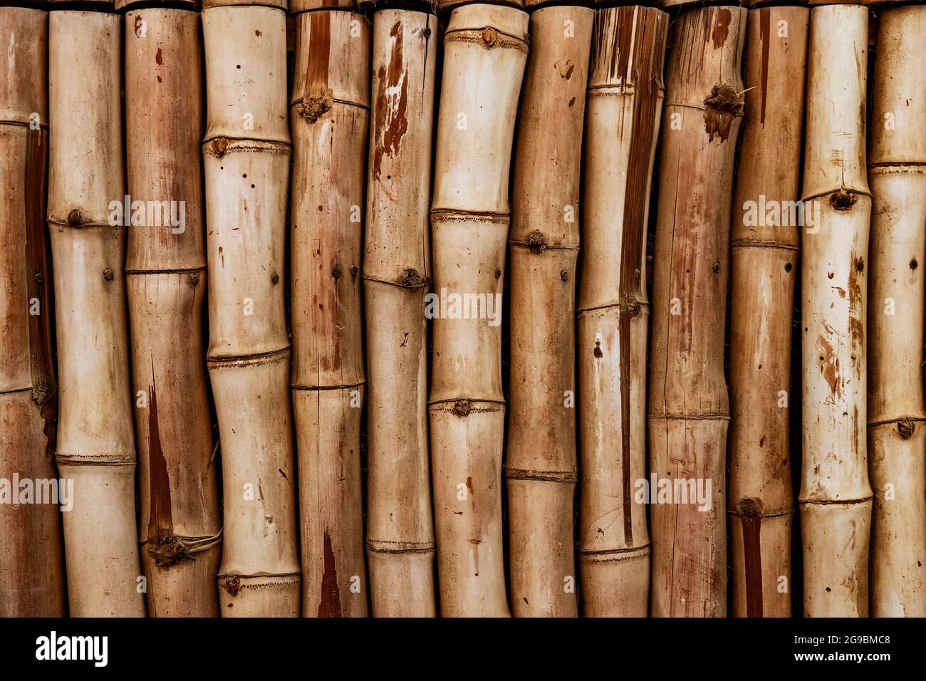 Decorative background of round bamboo trunks for interior decoration ...