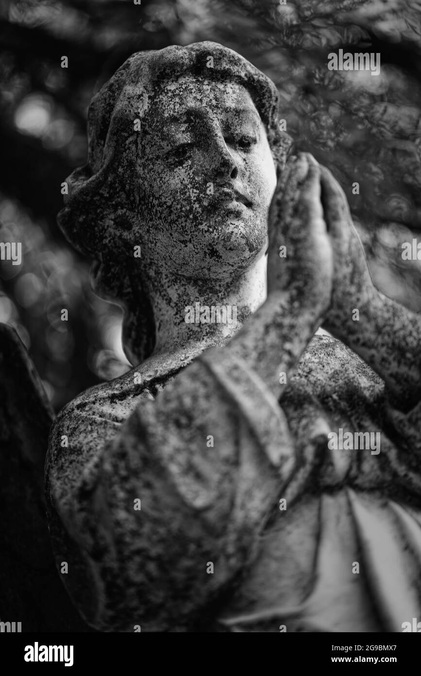 Praying angel on grave Stock Photo - Alamy