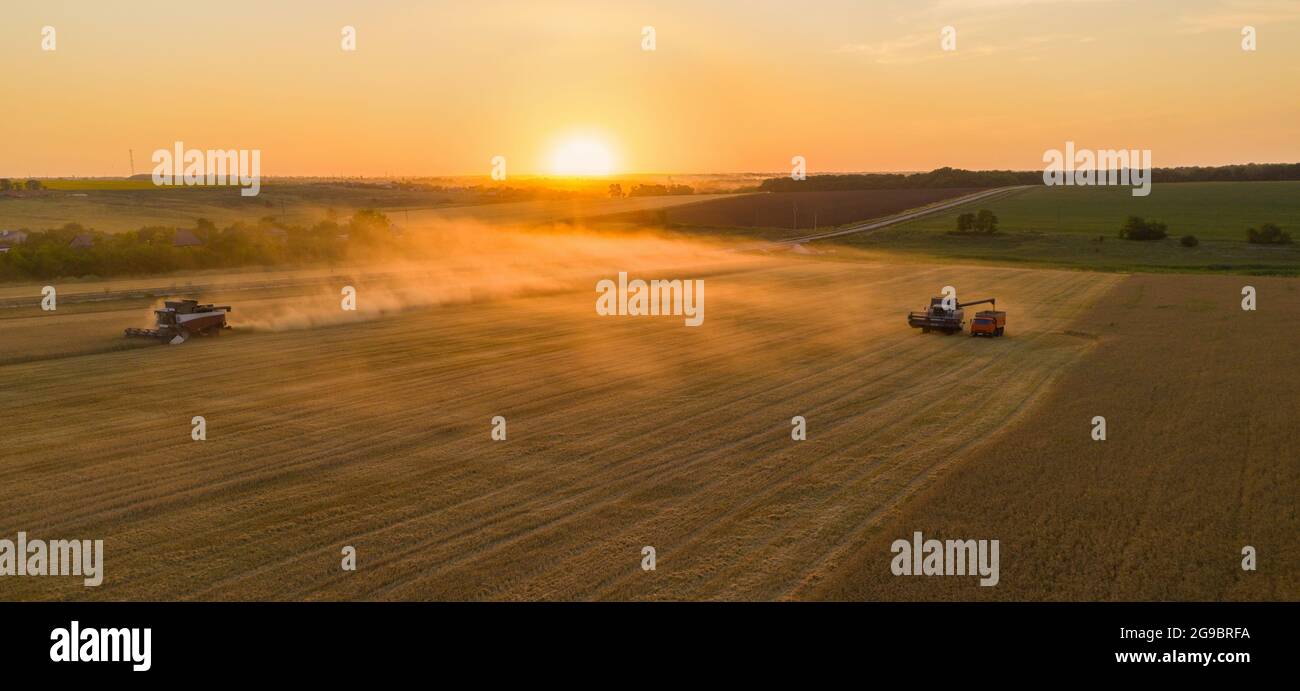 Combine harvester on the field at sunset. Aerial view Stock Photo - Alamy