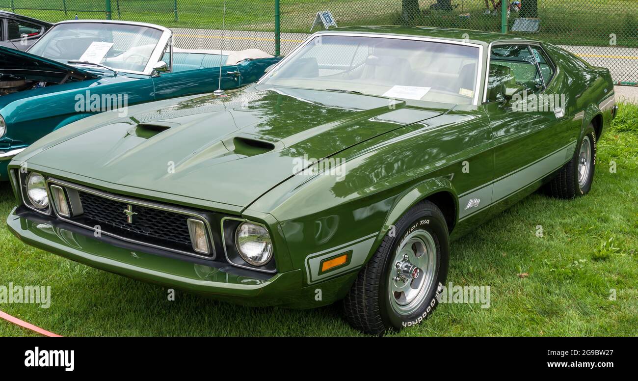 73 Mustang Mach 1 Green