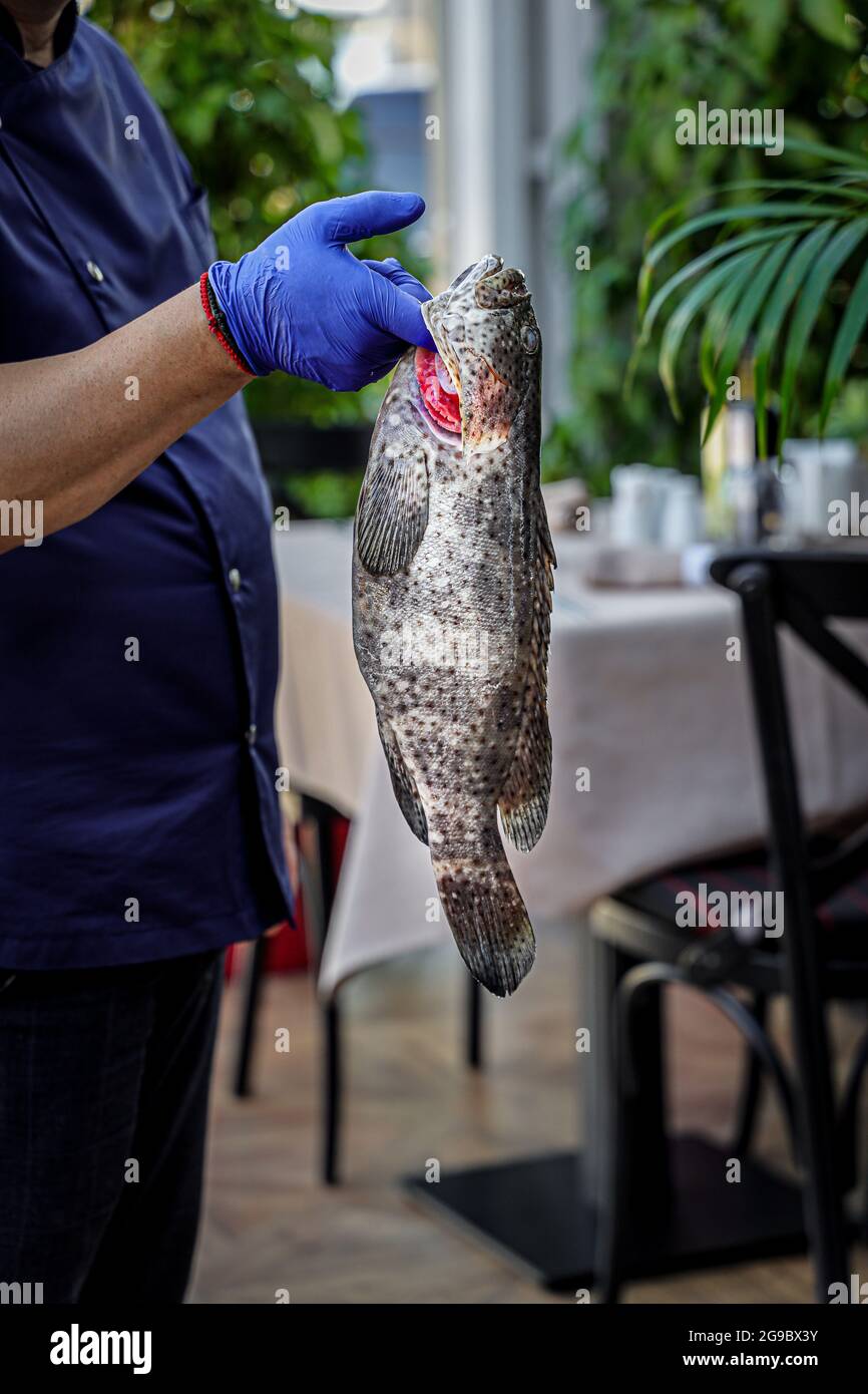 Man shot dead restaurant hi-res stock photography and images - Alamy