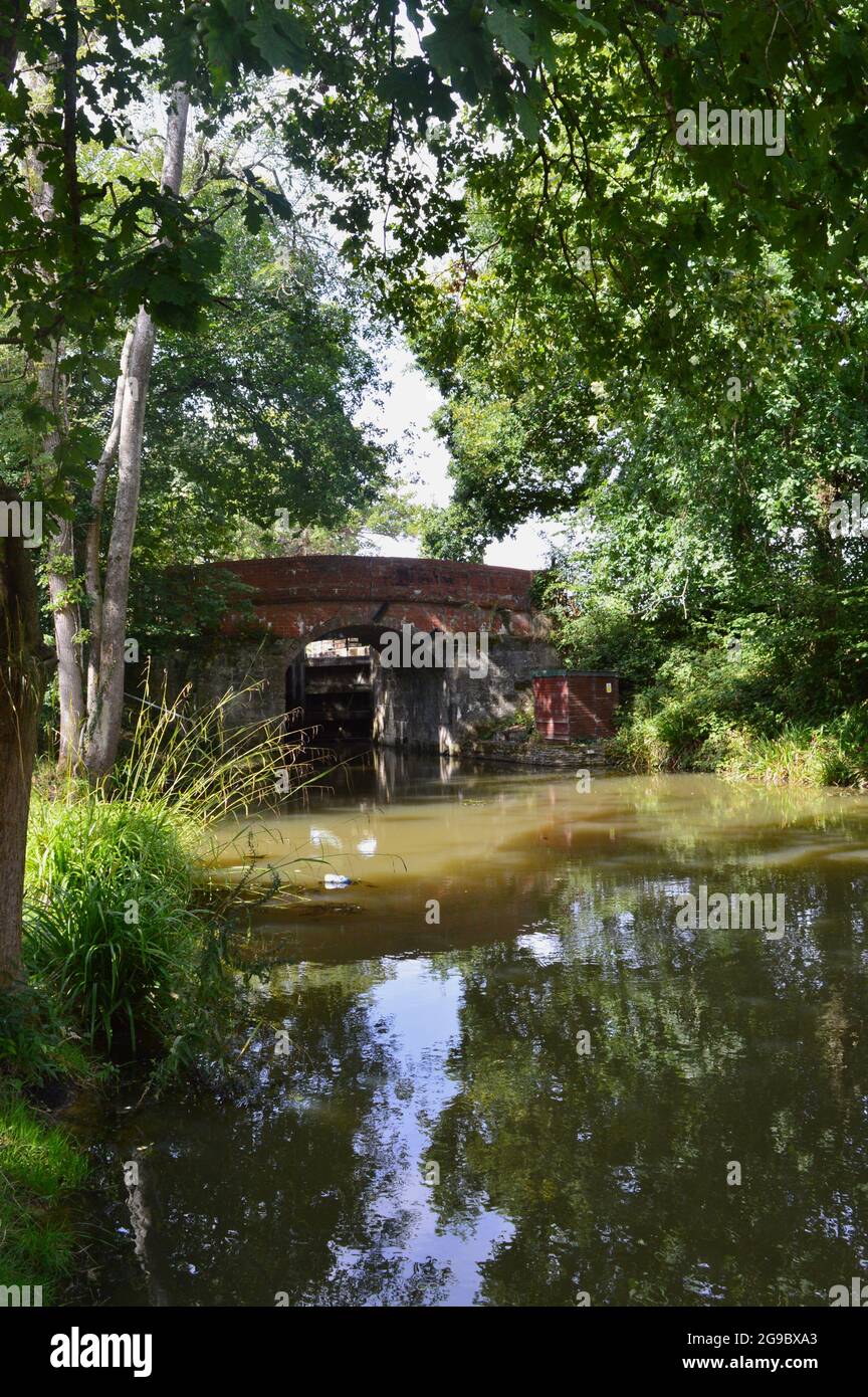 Plants trees under bridge architecture hi-res stock photography and ...
