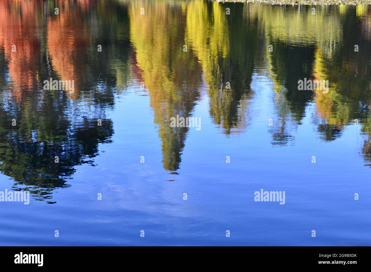 Colourful trees hi-res stock photography and images - Alamy