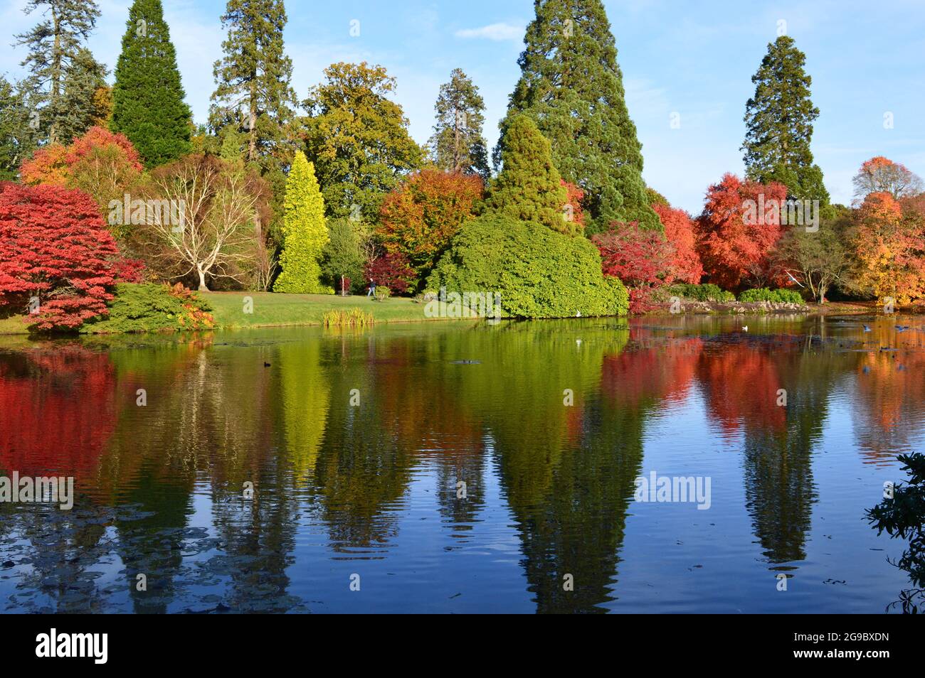 a gathering of colourful trees reflecting into a lake Stock Photo - Alamy