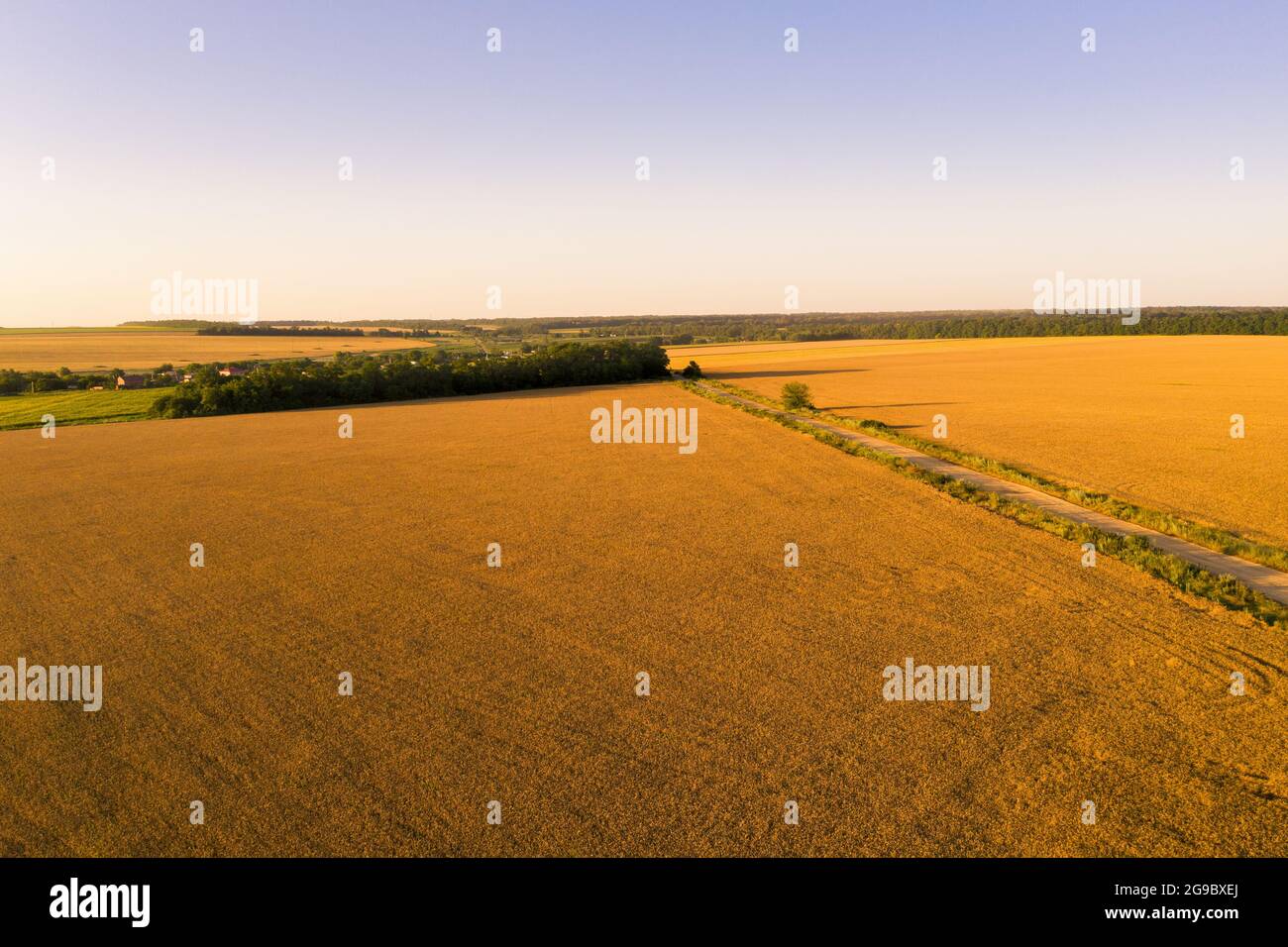 Wheat field aerial hi-res stock photography and images - Alamy