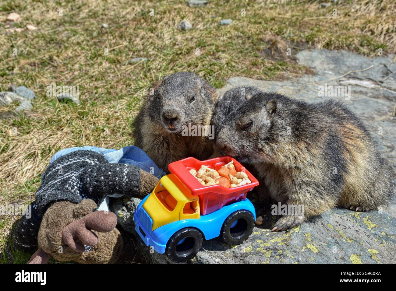 Kipper lkw hi-res stock photography and images - Alamy