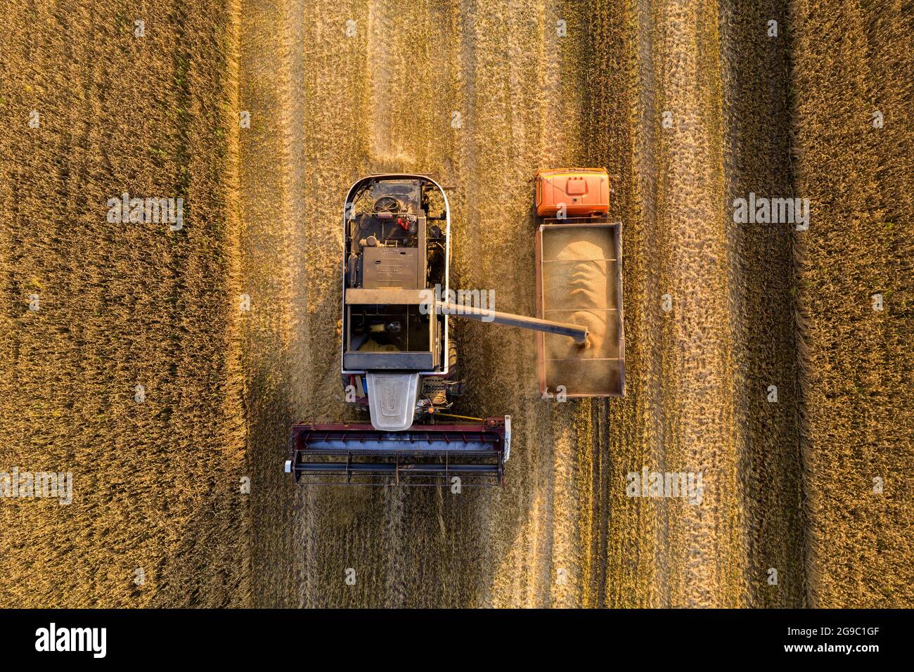 Combine harvester on the field at sunset. Aerial view Stock Photo - Alamy