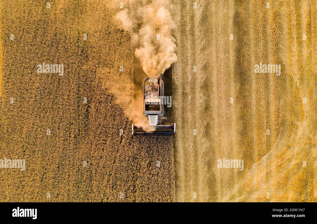 Combine harvester on the field at sunset. Aerial view Stock Photo - Alamy