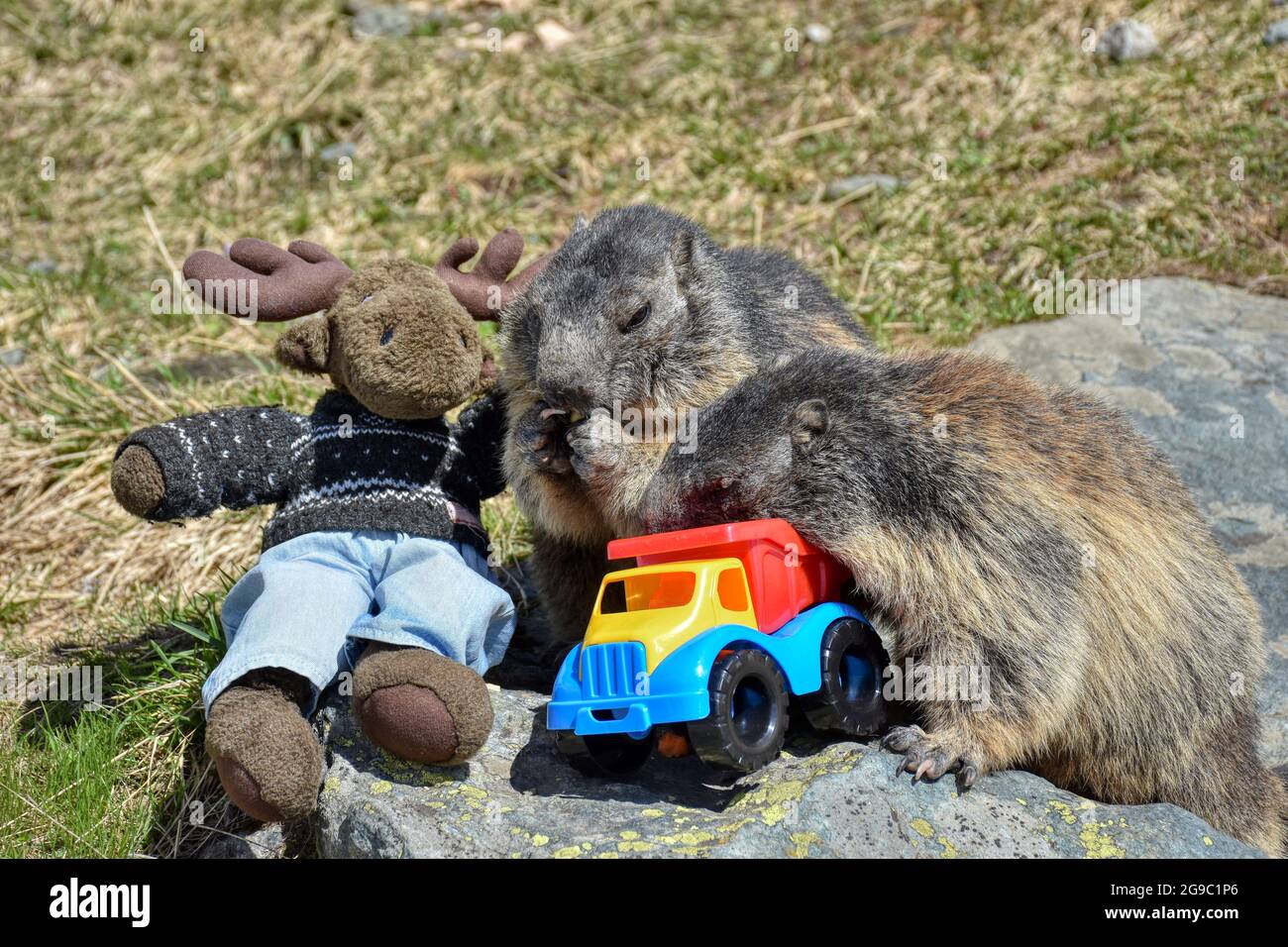 Wegschubsen hi-res stock photography and images - Alamy