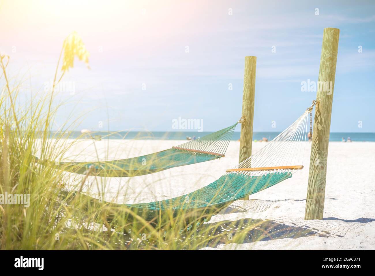 Florida hammocks hi-res stock photography and images - Alamy