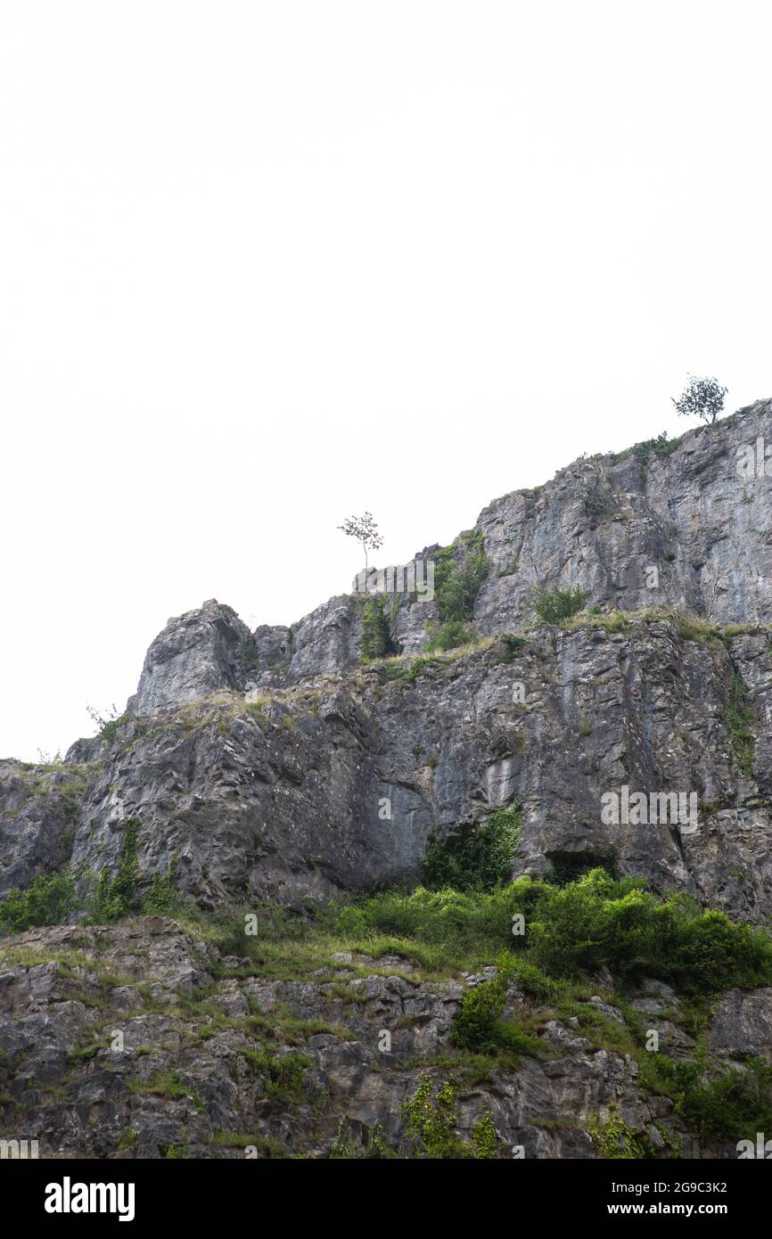 Glastonbury cheddar hi-res stock photography and images - Alamy