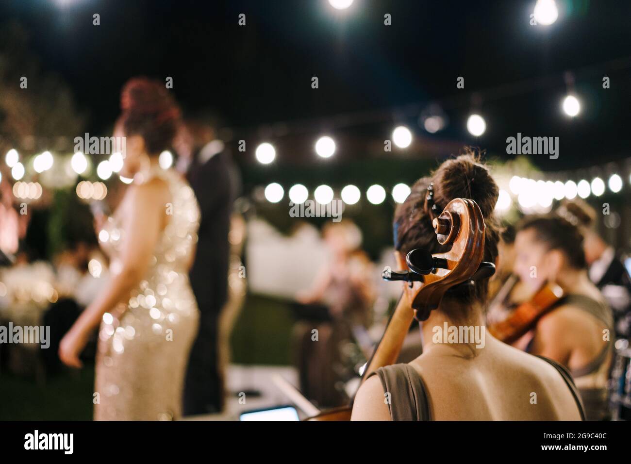 Musicians are playing at the wedding. Back view Stock Photo - Alamy