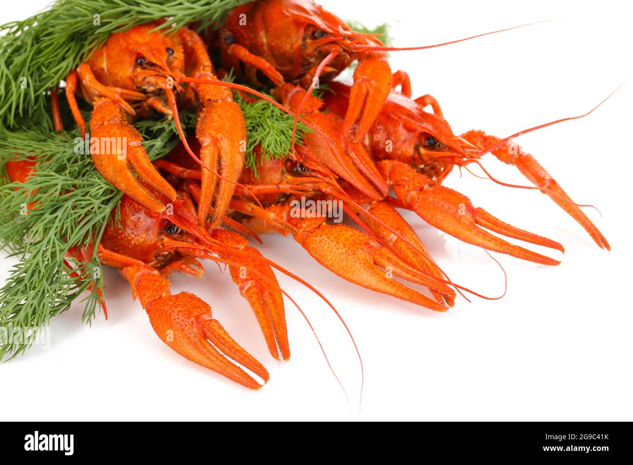 Tasty boiled crayfishes with fennel isolated on white Stock Photo - Alamy