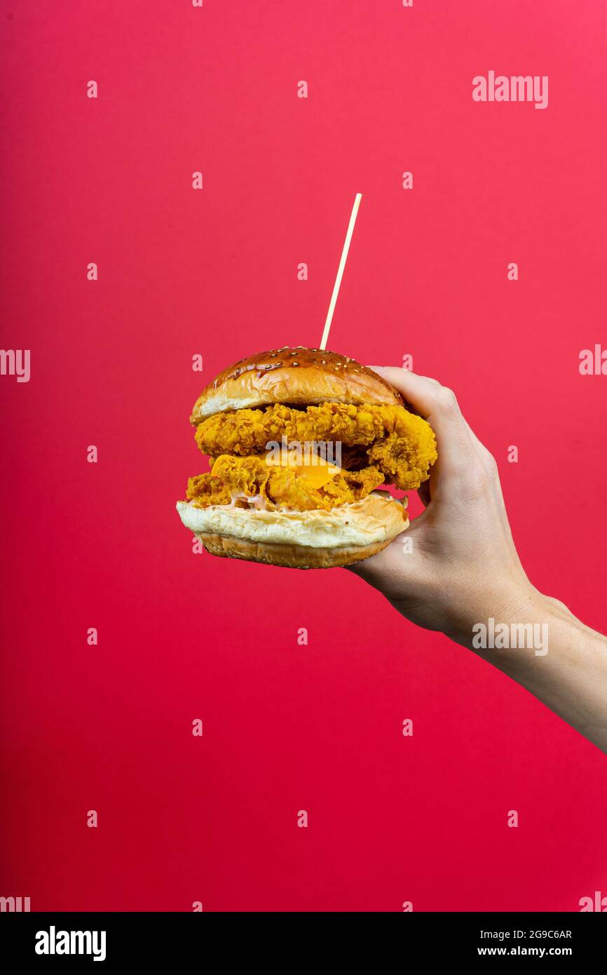 human hand holding tasty hamburger cheeseburger burger isolated on red ...