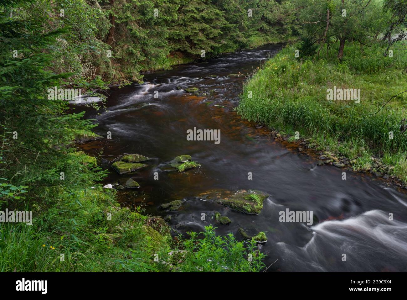 Vltava river in bohemian forest hi-res stock photography and images - Alamy