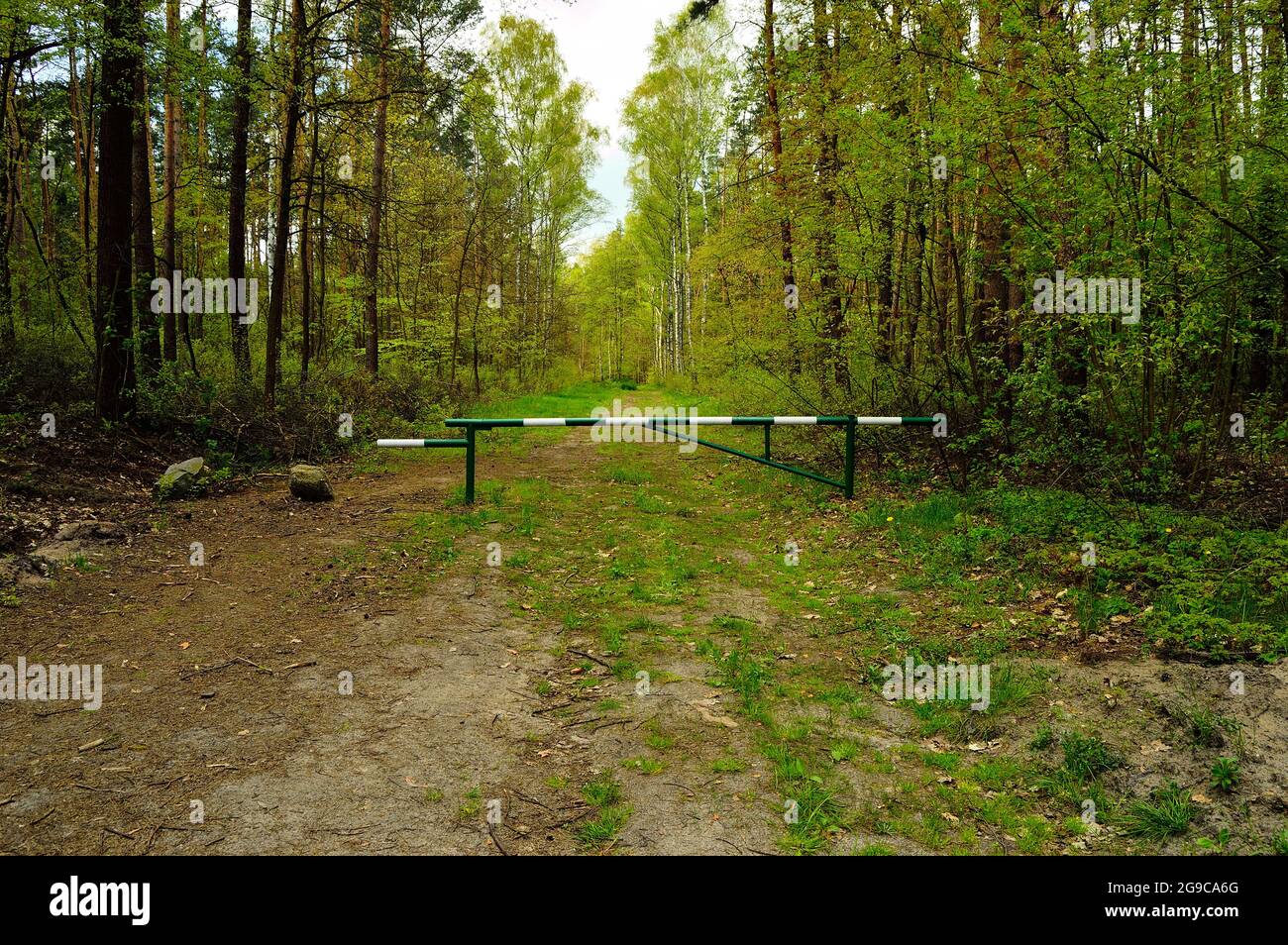 The barrier on the forest road prohibits entry. Forest Stock Photo - Alamy