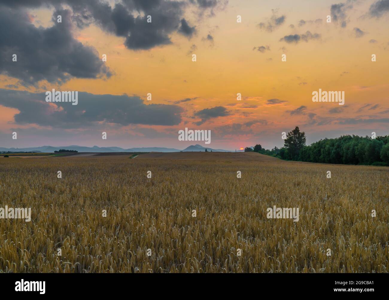 Central color hi-res stock photography and images - Alamy