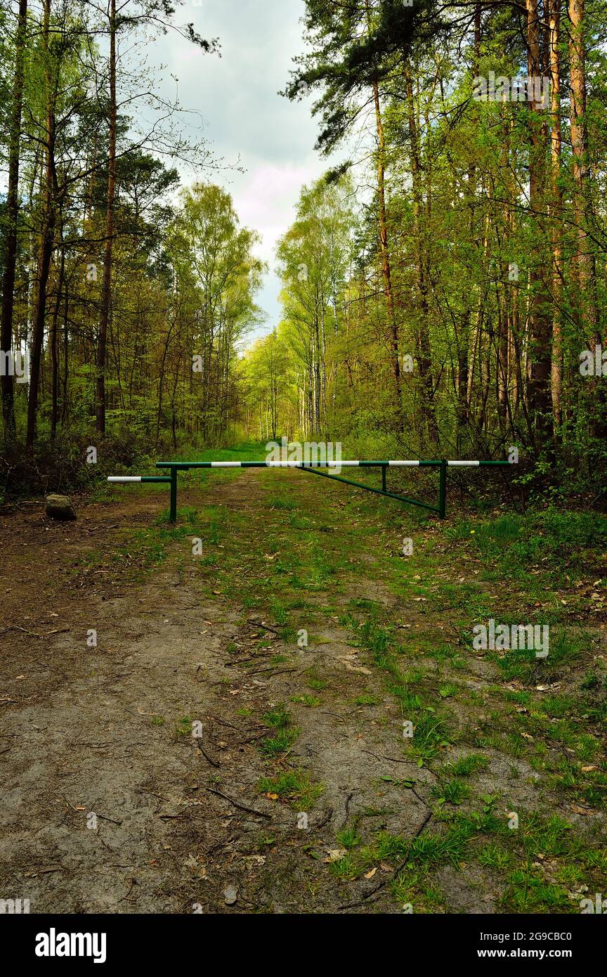 The barrier on the forest road prohibits entry. Forest Stock Photo - Alamy
