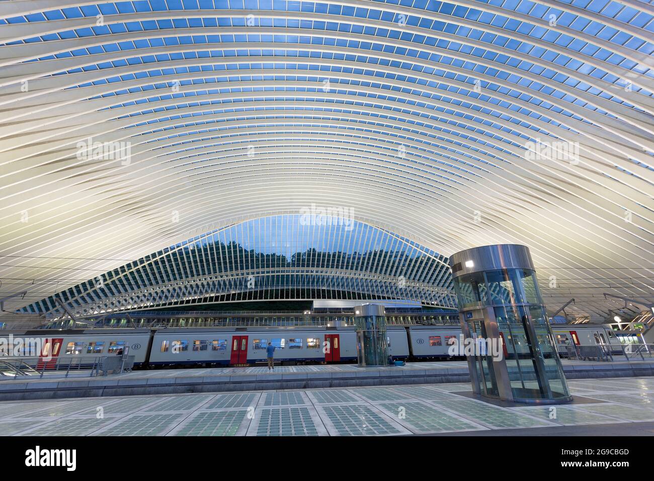 Liège-Guillemins train station by architect Santiago Calatrava, Liege ...