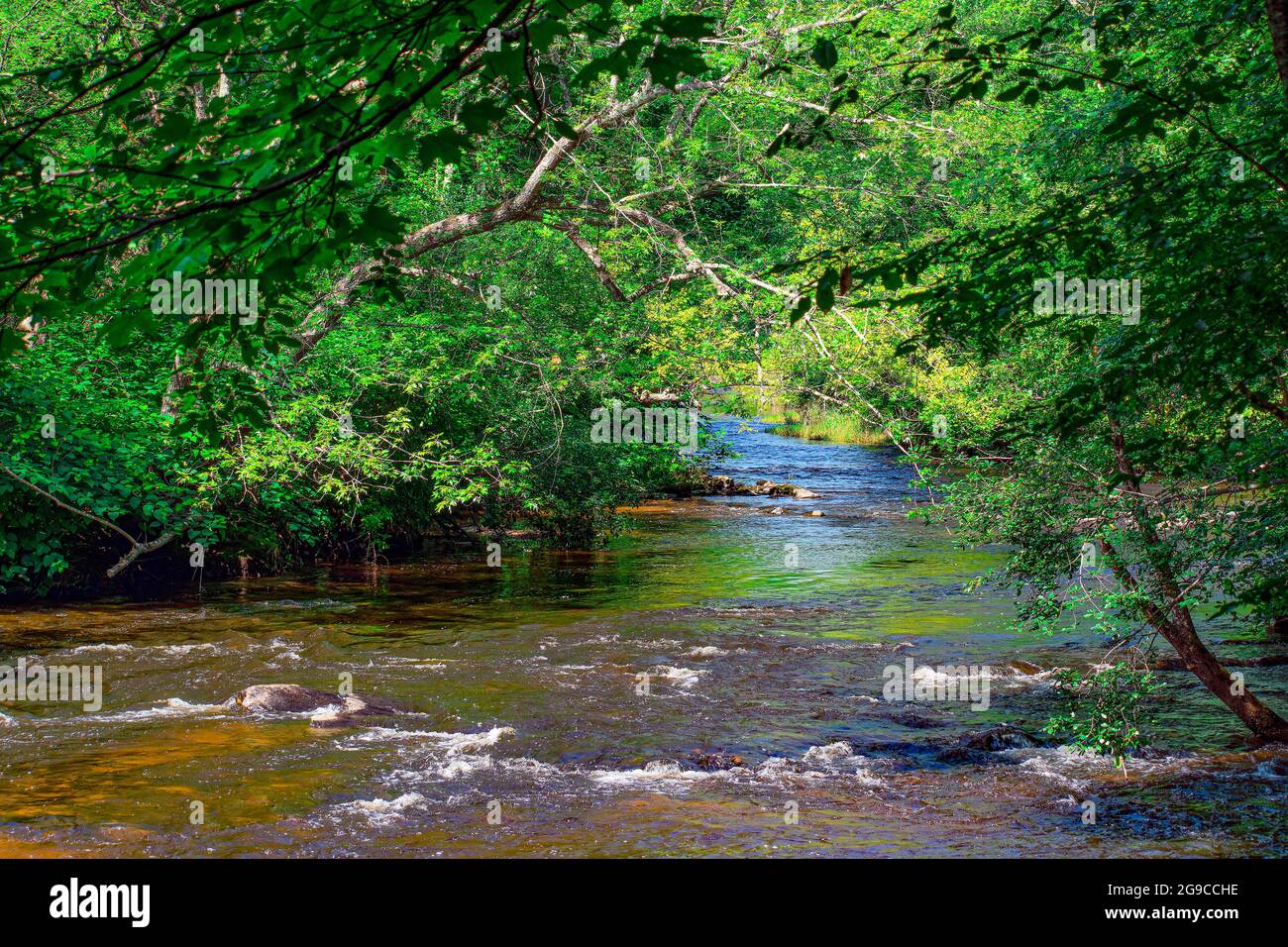the nashua river winding its way through cooks conservation area in ...